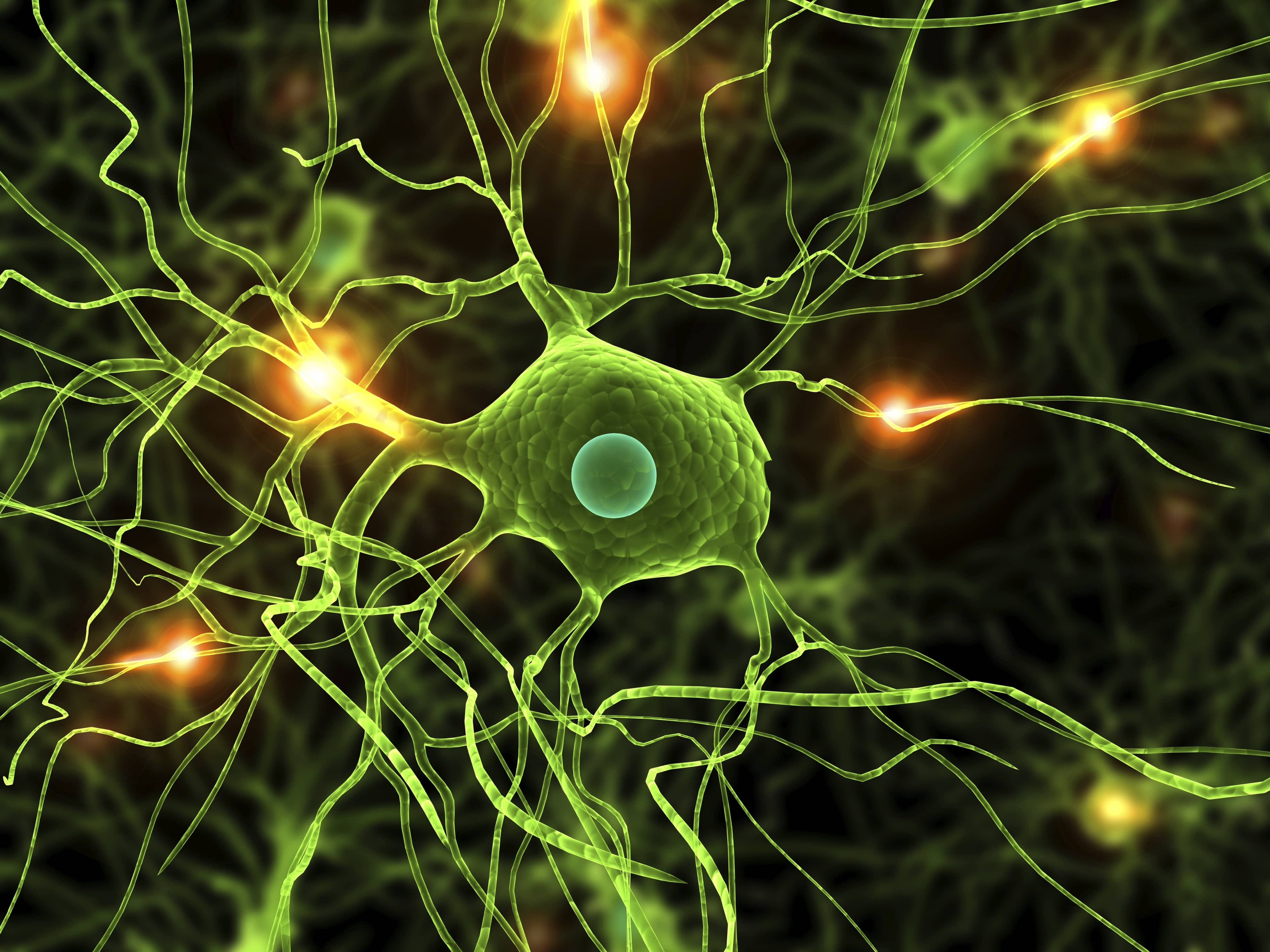 How to Break Bad Habits by Rewiring Your Brain How to Break Bad Habits by Rewiring Your Brain
